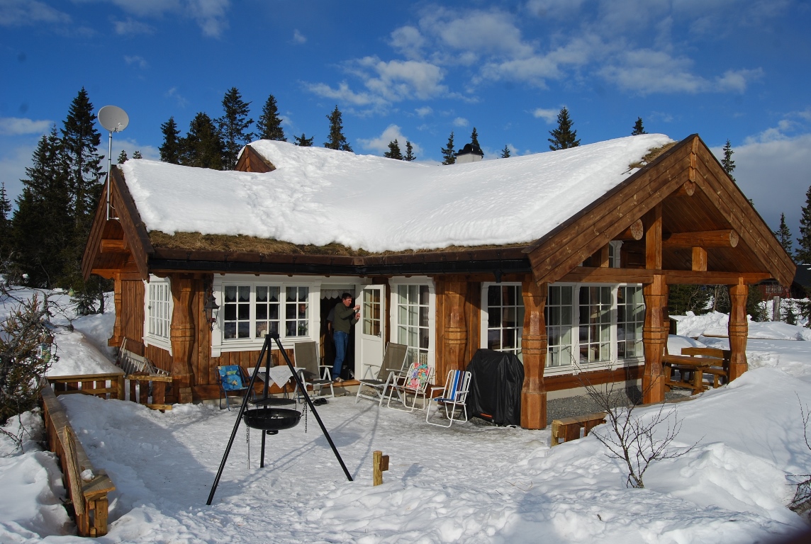 Why invest in a hand built log home? - Tender